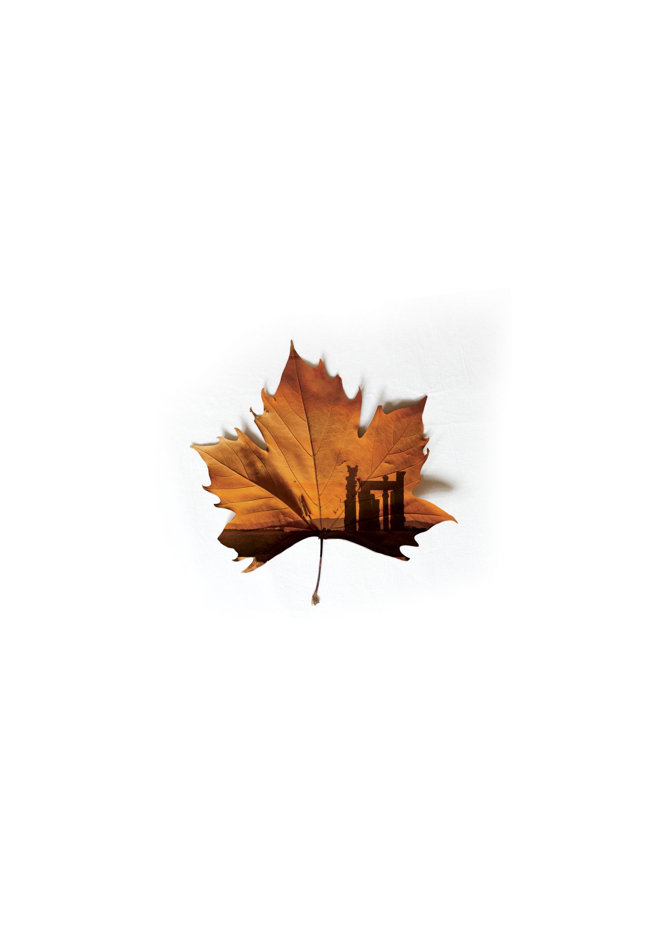 Ancient Iran Celebration Autumn | Most Magnificent Season