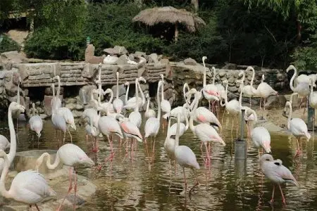 Kish attractions | A gem in the Persian Gulf