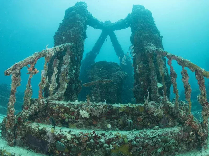 Wonders Under the Seas | A mysterious world in the ocean depths